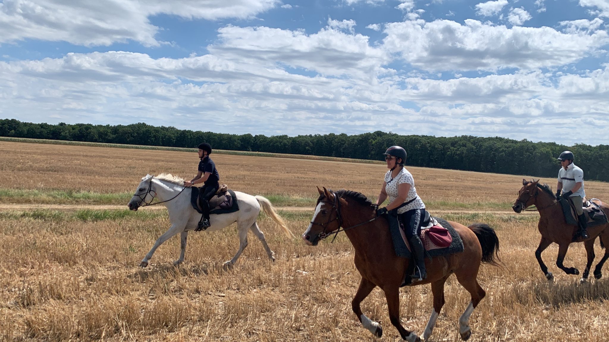 Riding level guidelines - Cheval & Chateaux